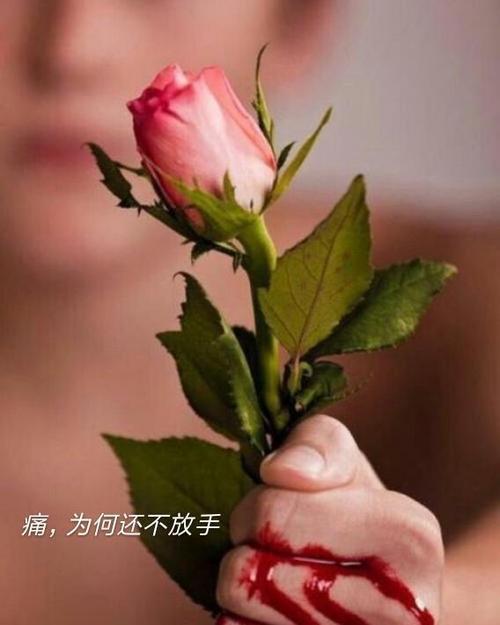 扎心的痛图片图标