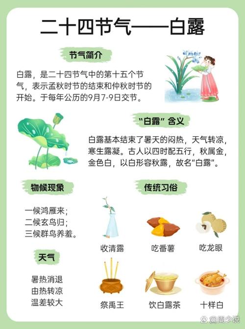 白露和陈斌小说最新章节阅读图标
