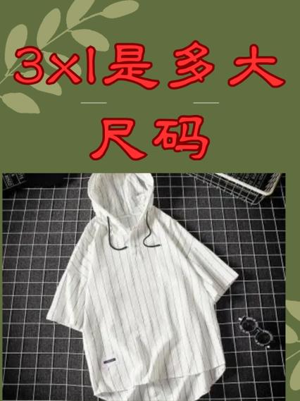 38码一般适合多少斤图标