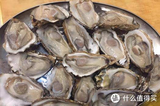 贝壳吐沙最干净的方法图标