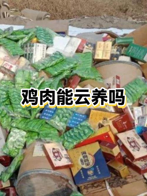 云养鸡怎么赚钱