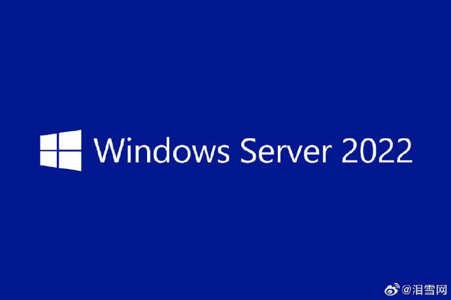 windows server图标