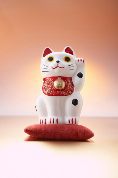 瓷猫猫图片Ch图标