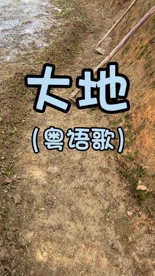 翻唱粤语歌曲图标