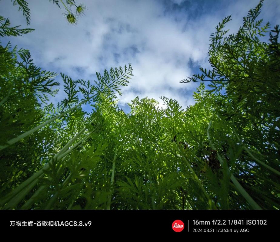谷歌相机全机型通用版2021图标