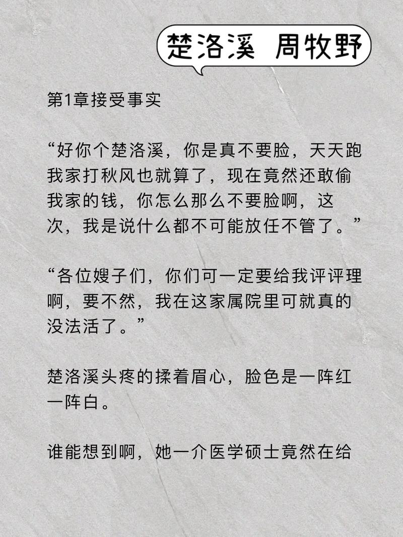 重生军嫂翻译官全文阅读图标