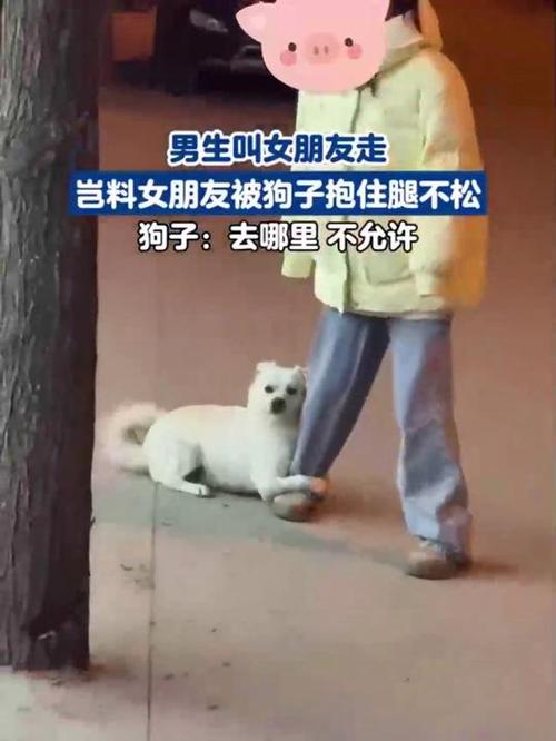 男生叫女生小狗子截图