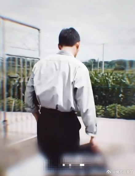 张嘉译的走路姿势叫什么走法图标