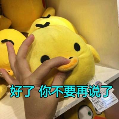 鸭子表情包原图图标