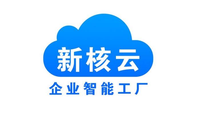 新核云公司怎么样截图