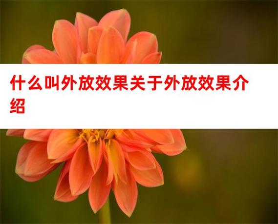 什么叫外放