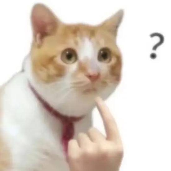 抖音猫比心表情包