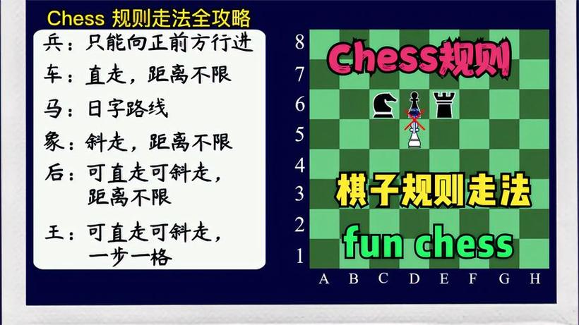 国际象棋的下法规则视频截图