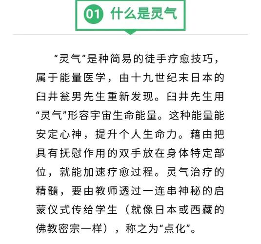 真气,灵气,元气,罡气截图