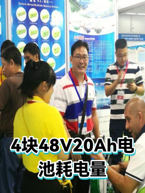 48v20ah四块一般多少钱