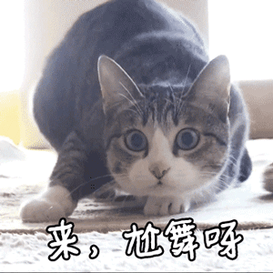 赞扬表情动态图
