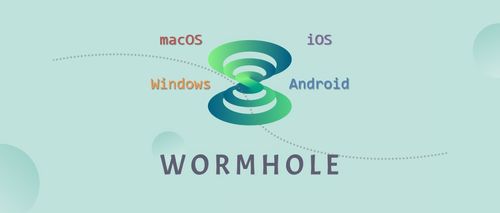 wormhole手机版图标