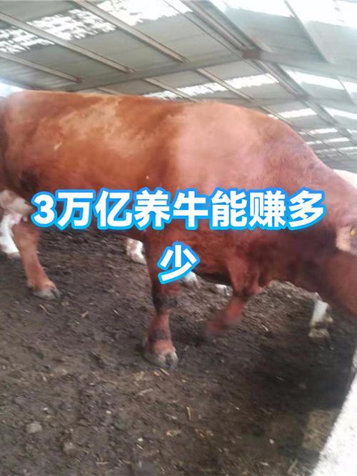 养多少牛一年能挣十万图标