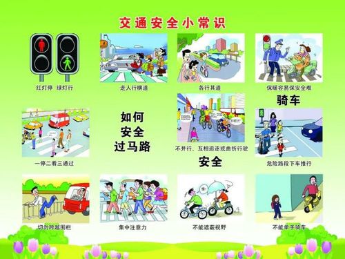 安全知识每日一学图标