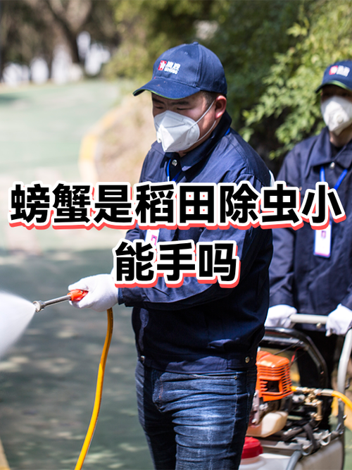 螃蟹壳堵马桶多久会腐烂图标