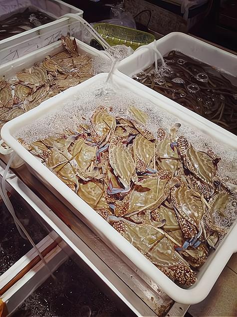 海鲜利润图标