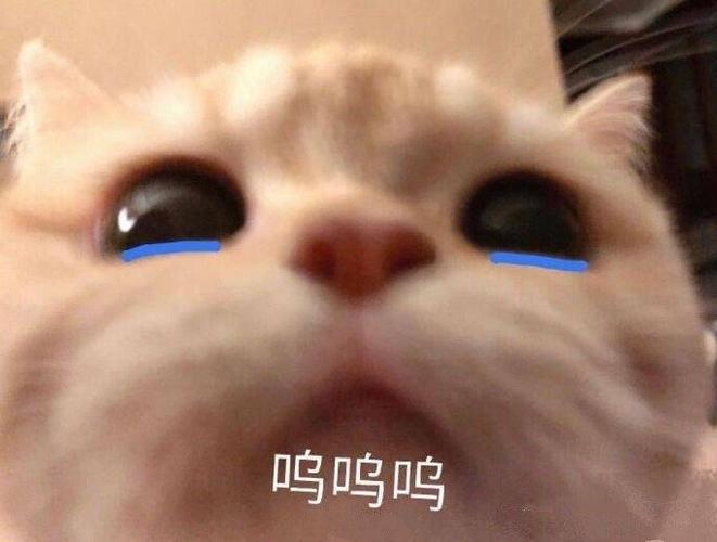 呜呜呜的表情包图标