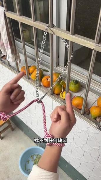 逃脱者怎么把别人绑住图标