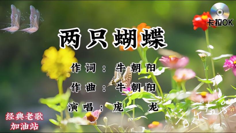 两只蝴蝶原唱完整版图标