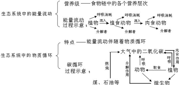 能量流动怎么导入截图