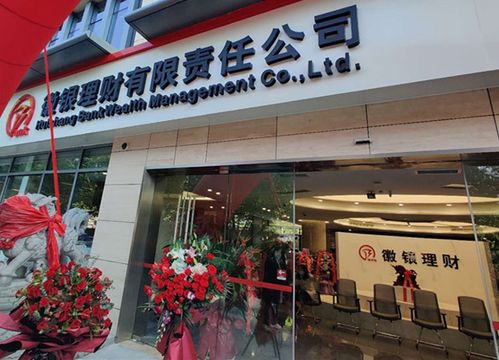 理财公司截图
