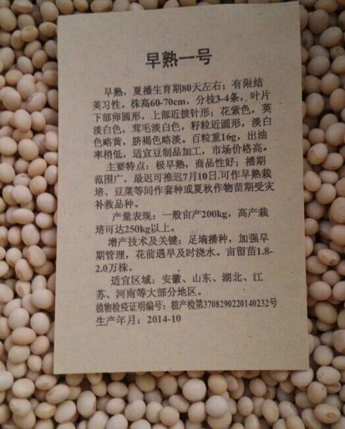 十大黄豆种子品种