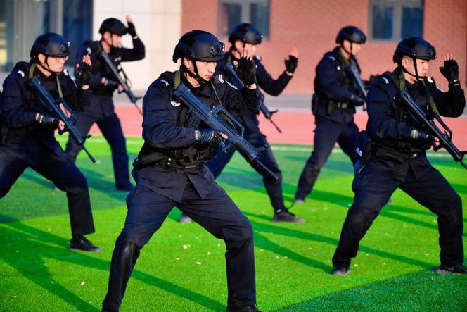 特警干嘛的截图
