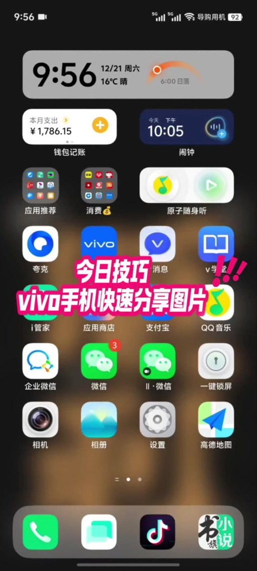 vivo相册网络连接在哪里图标