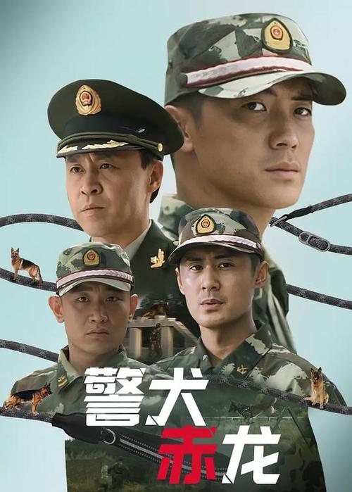 24集电视剧警犬赤龙分集剧情图标