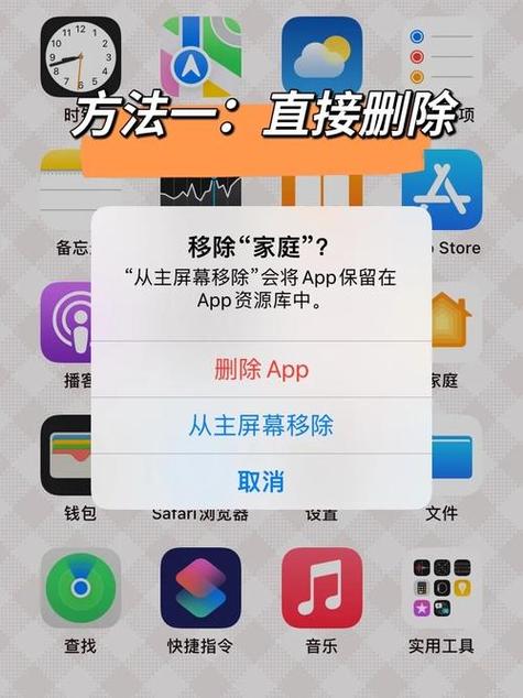 蘑菇tv最新登录入口图标