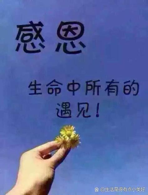 心灵的寄托情感的依靠什么意思截图
