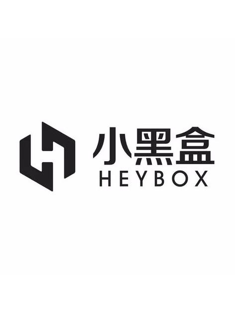 小黑盒公司怎么样