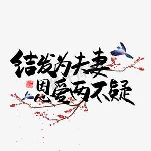 一个什么字代表夫妻图标