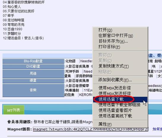 magnet怎么打开截图