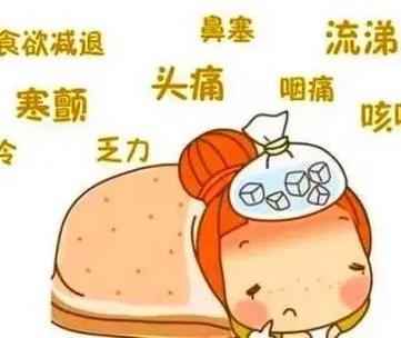 感冒了最火的一句截图