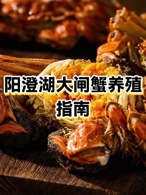 阳澄湖属于哪个省哪个市图标