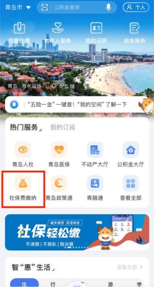 社保缴费入口图标