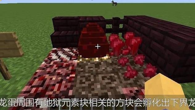 打完末影龙怎么拿蛋图标