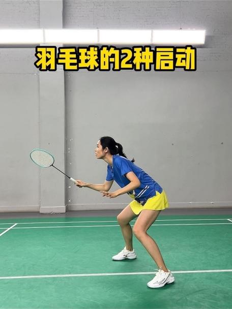 羽毛球教学视频百度网盘截图