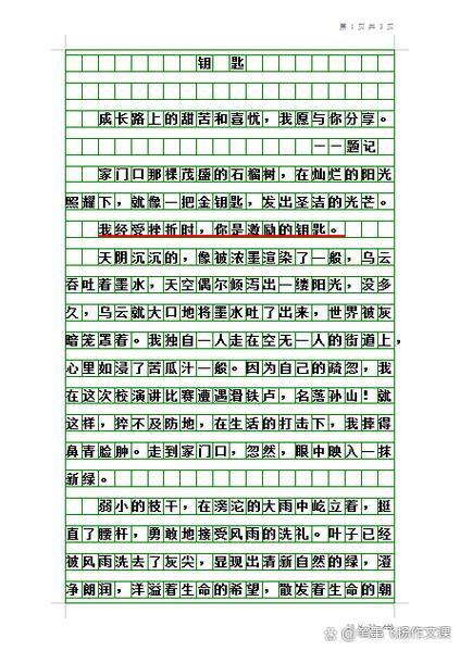 中考记叙文图标