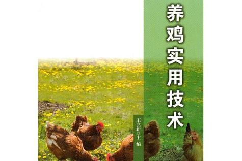 养鸡技术视频教程全过程截图