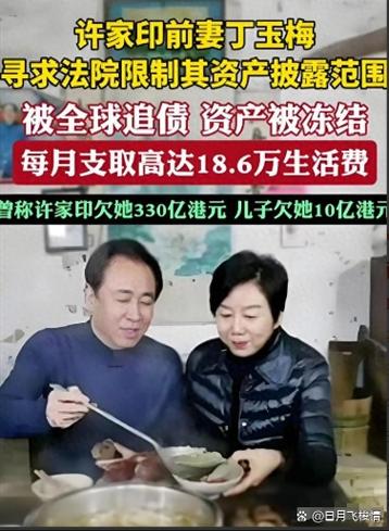 许家印欠银行钱还不上怎么办图标
