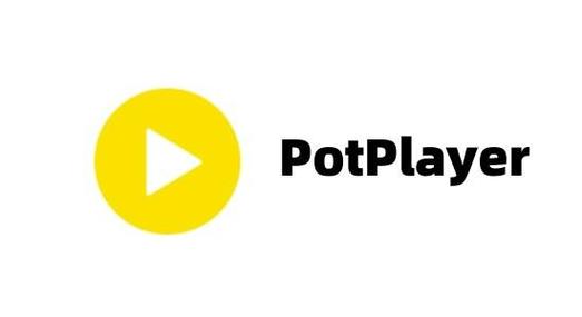 potplayer安卓版app图标
