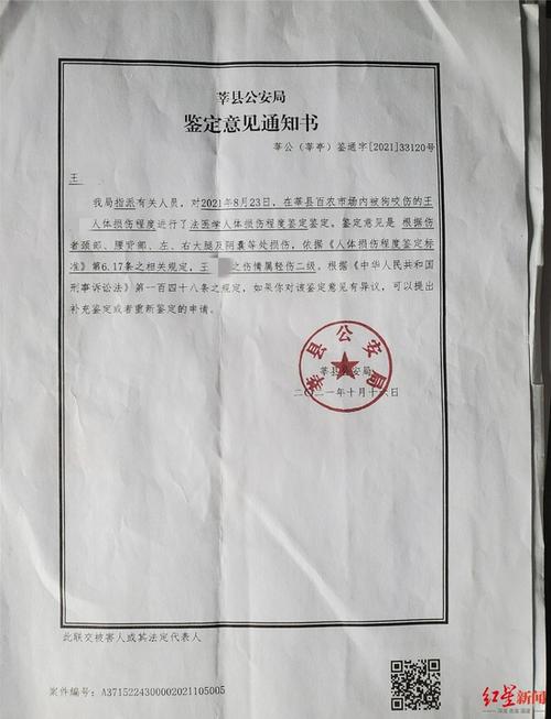 轻伤二级怎么鉴定图标