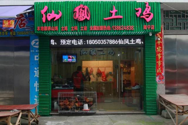 土鸡专卖店